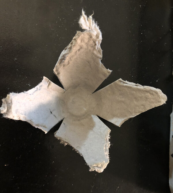 DIY Egg Carton Flowers & Egg Shell Crafts